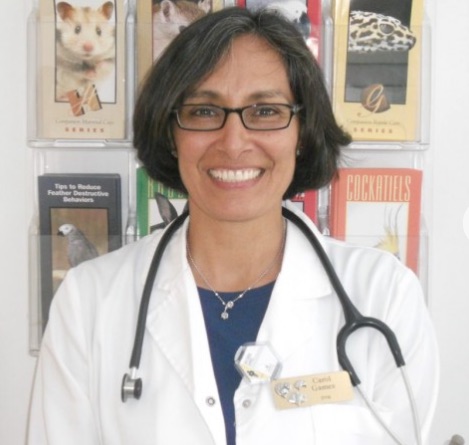 In the News – GEORGETOWN VETERINARY HOSPITAL